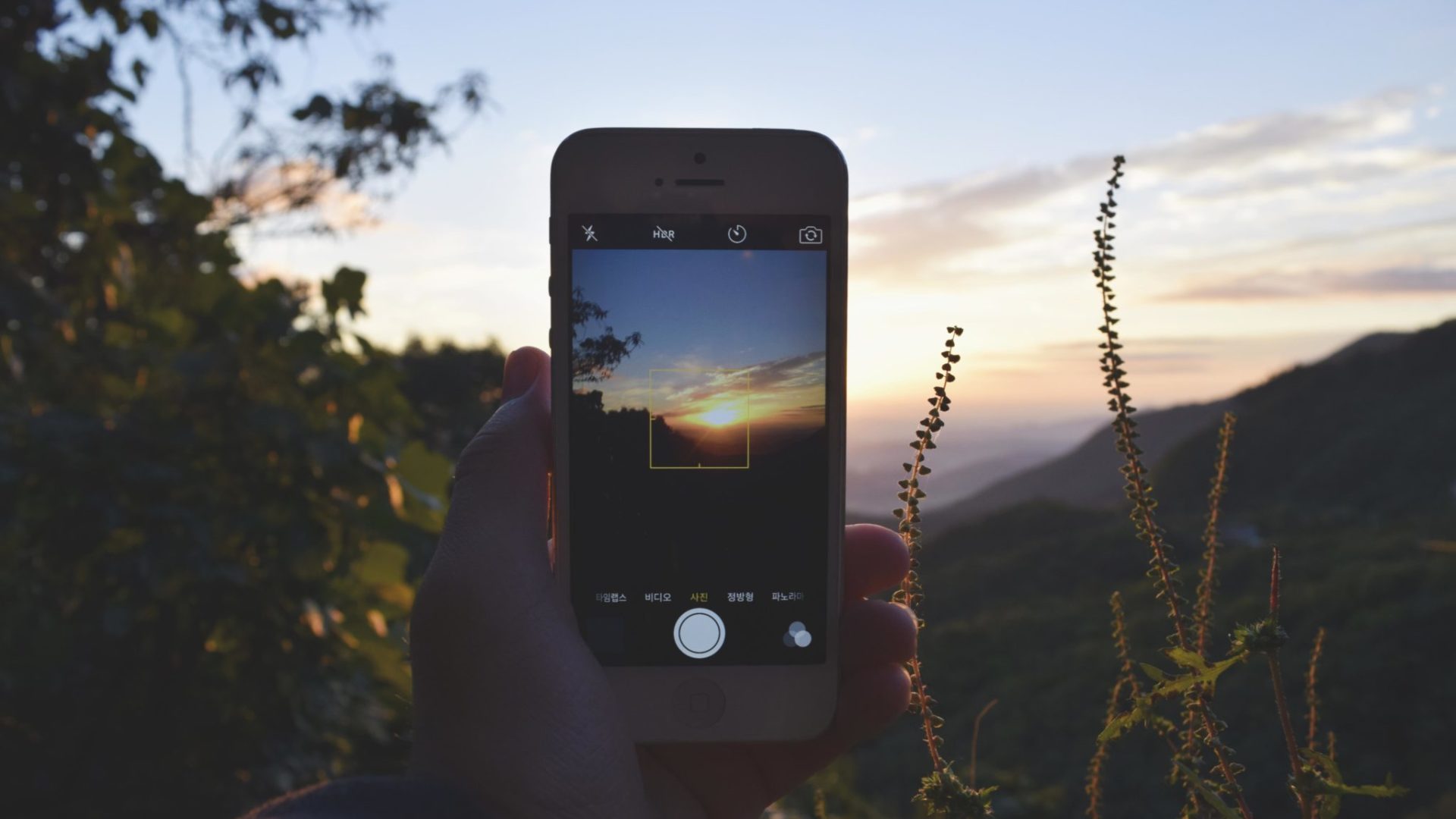 Best manual camera apps for iPhone - The App Factor